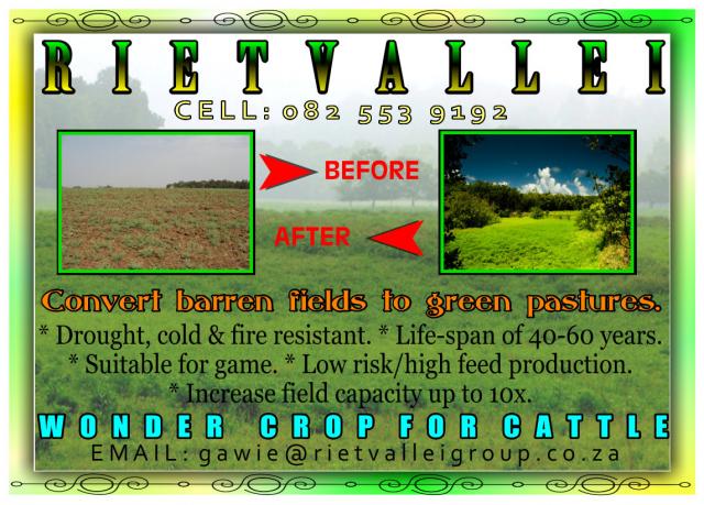 Rietvallei Roodepoort - Business Directory