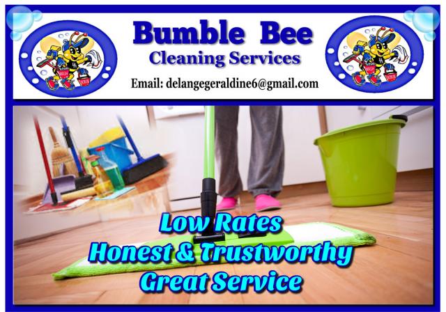 Bumble Bee Cleaning Services Witbank - Business Directory